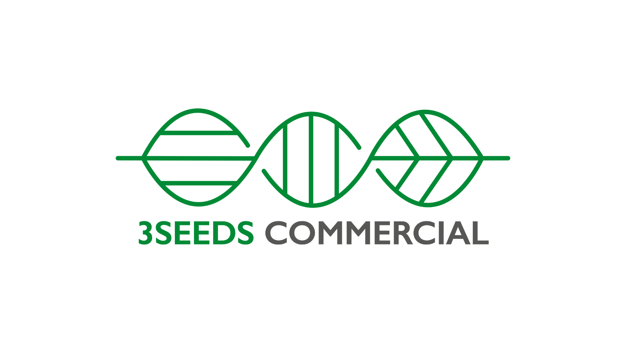 3Seeds Commercial